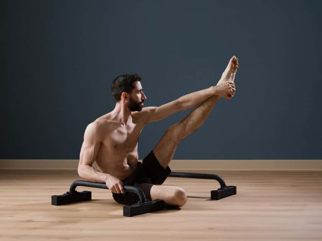 Programas especializados - Guardian Recovery